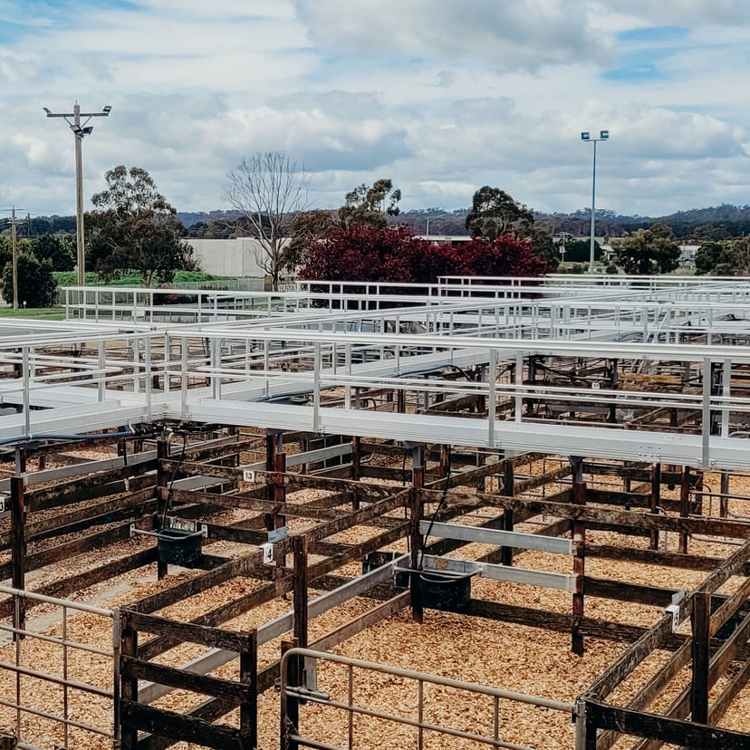 Projects Gallery | Kattsafe